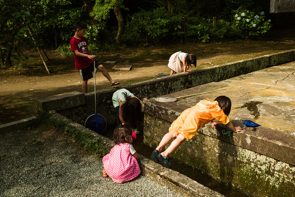 Vœux, John Willie, Hikono, Élisa