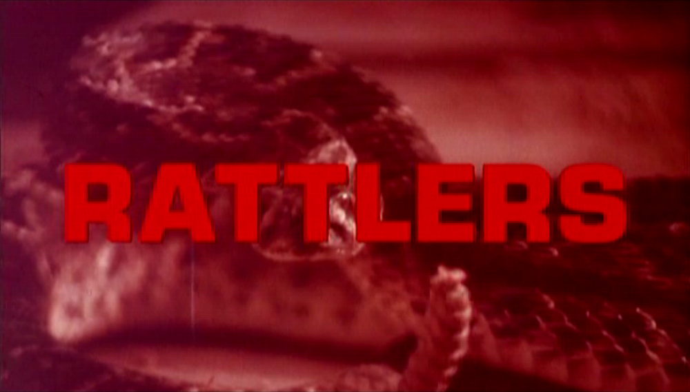 13: RATTLERS - "They're Waiting To Slither You" (1976)