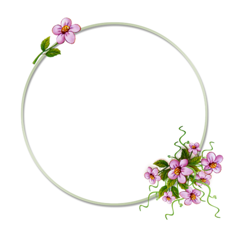 MARCOS PHOTOSCAPE: MARCOS FhotoScape, PHOTOSHOP Y GIMP MARCOS REDONDOS ...