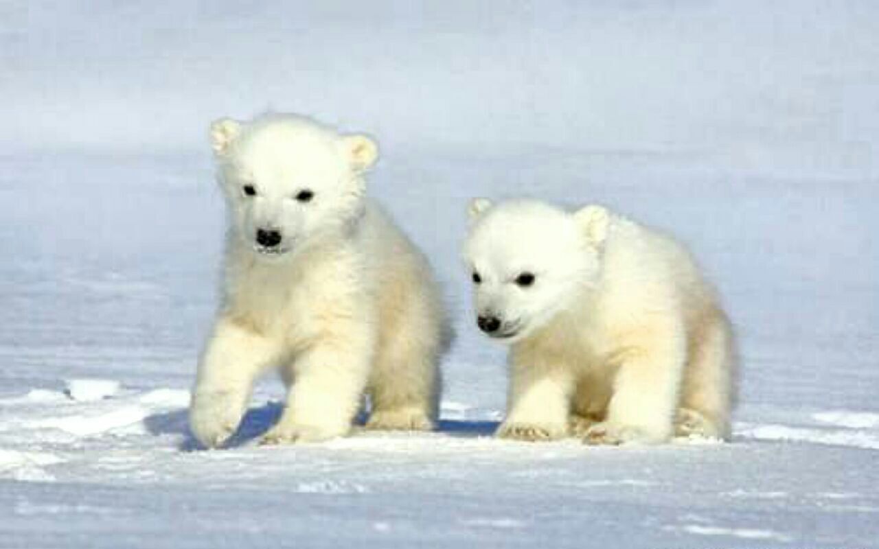 Oʻzbekiston yoshlar ittifoqining yoshlarga MUROJAATI: 27-fevral Xalqaro ...