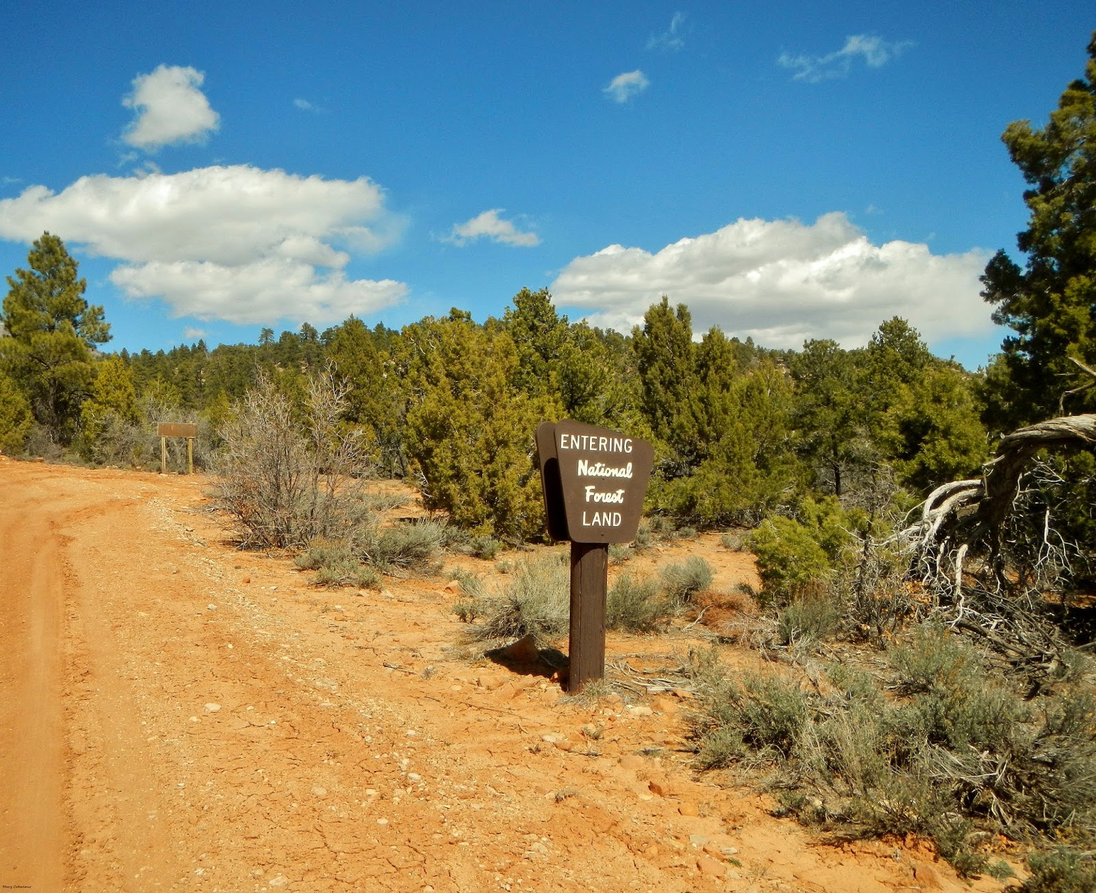 The Southwest Through Wide Brown Eyes: Recapture Reservoir and North.
