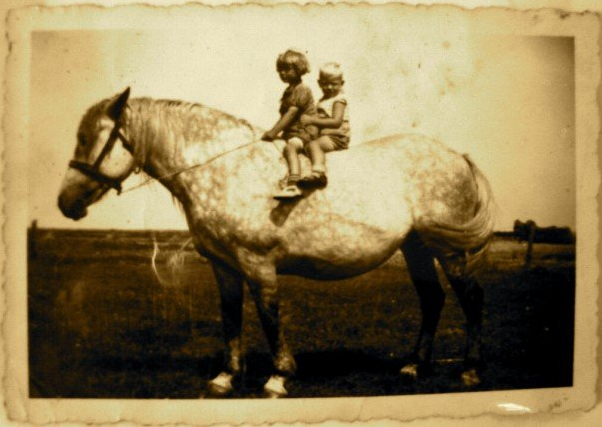 The Lexicon of Cultural Folly: Quixotic