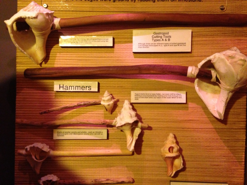 JOANNAS BLOGS: Downtown FortMyers