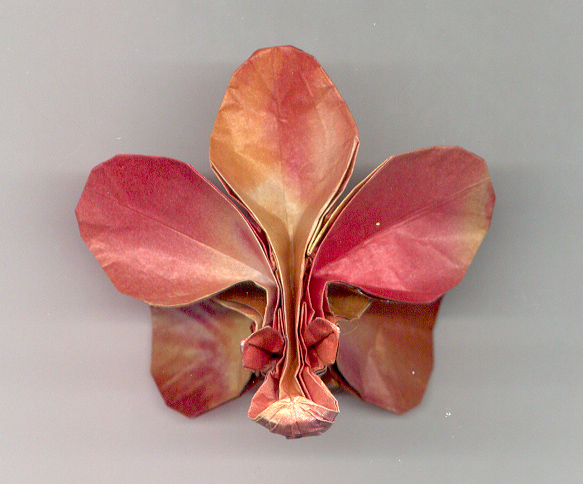 OrchidCraze: Wonderful Orchid Origami..