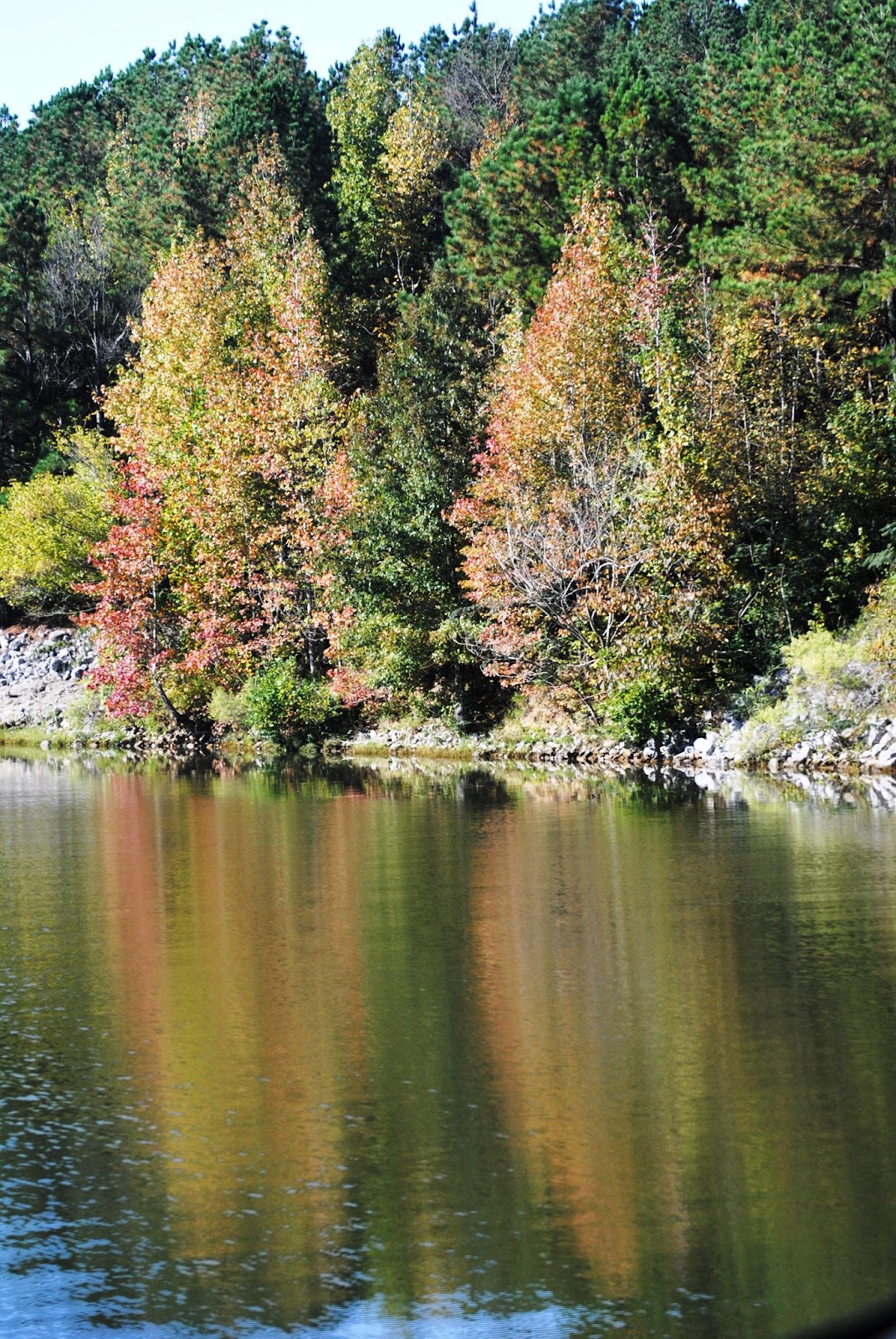 Our Adventures: Pickensville, Alabama