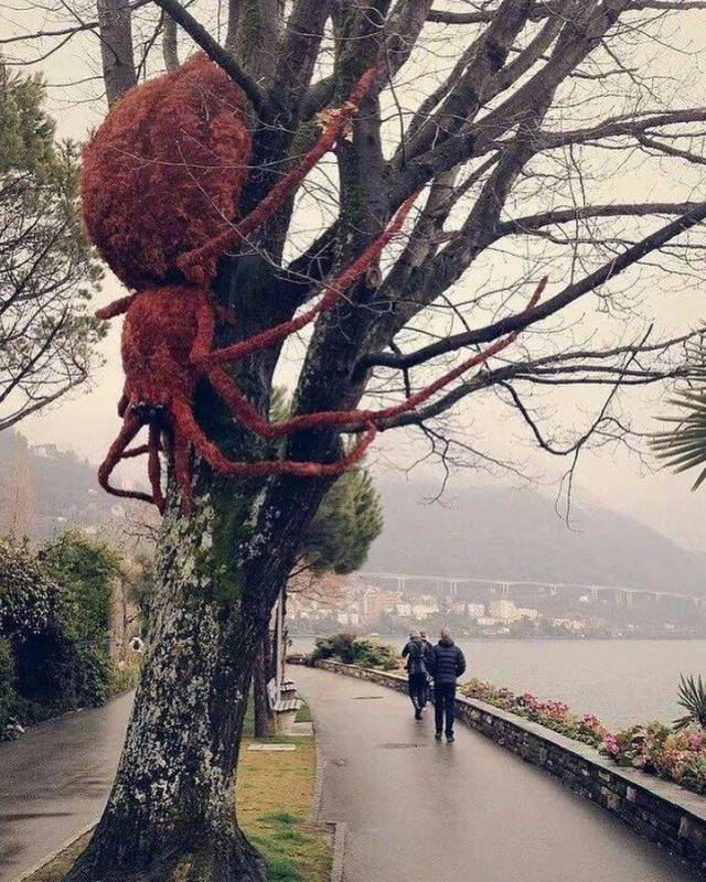 MEXICOGEEK: IMAGENES RARAS Y DIVERTIDAS