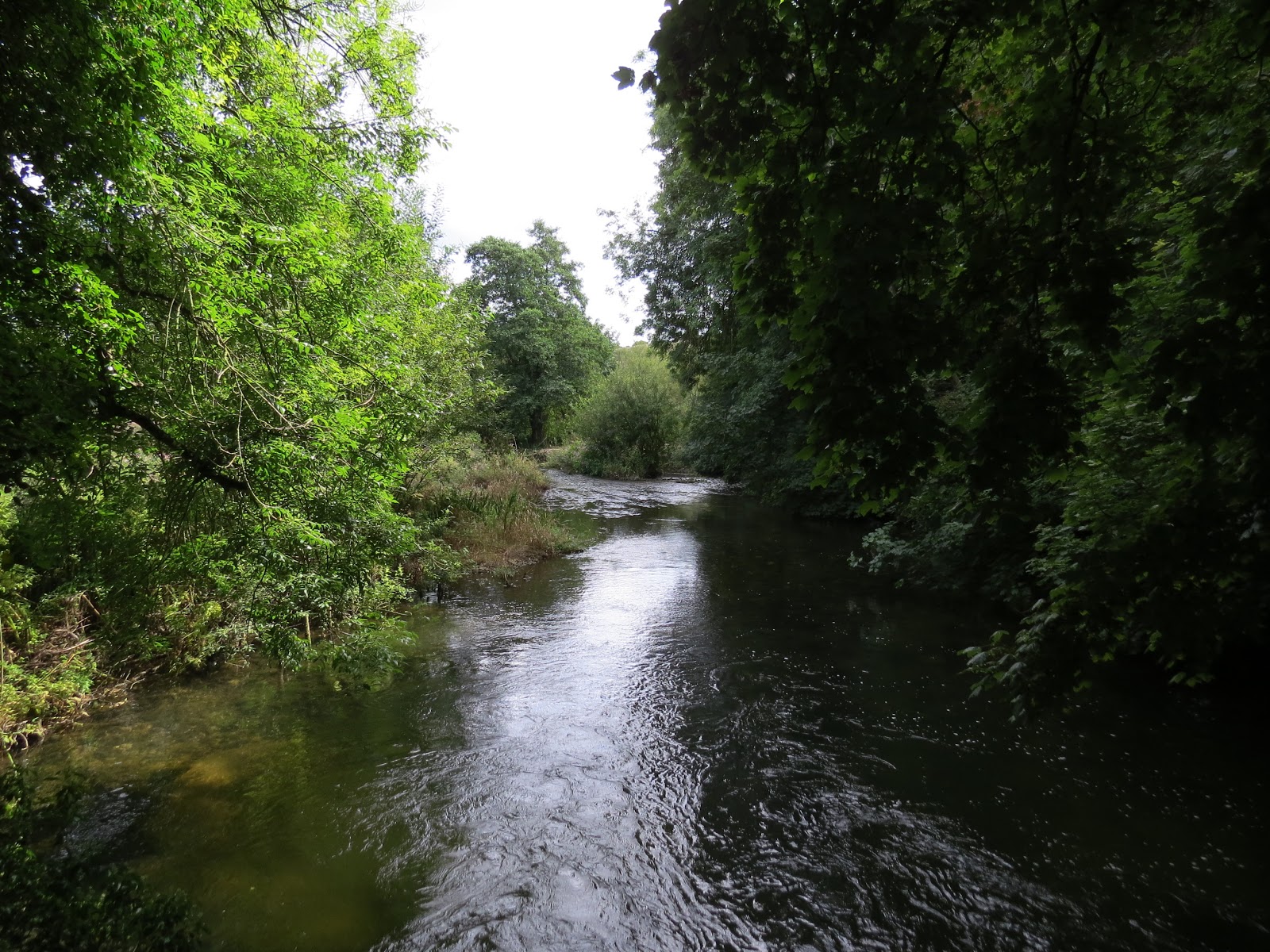 Walking Dorset's gridsquares: Frome Valley Trail - Part 2 - Maiden ...