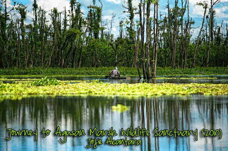Top 10 Beautiful Places and Wonders of Agusan del Sur, Philippines ...