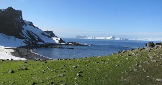 Plant Life: Antarctica Flora