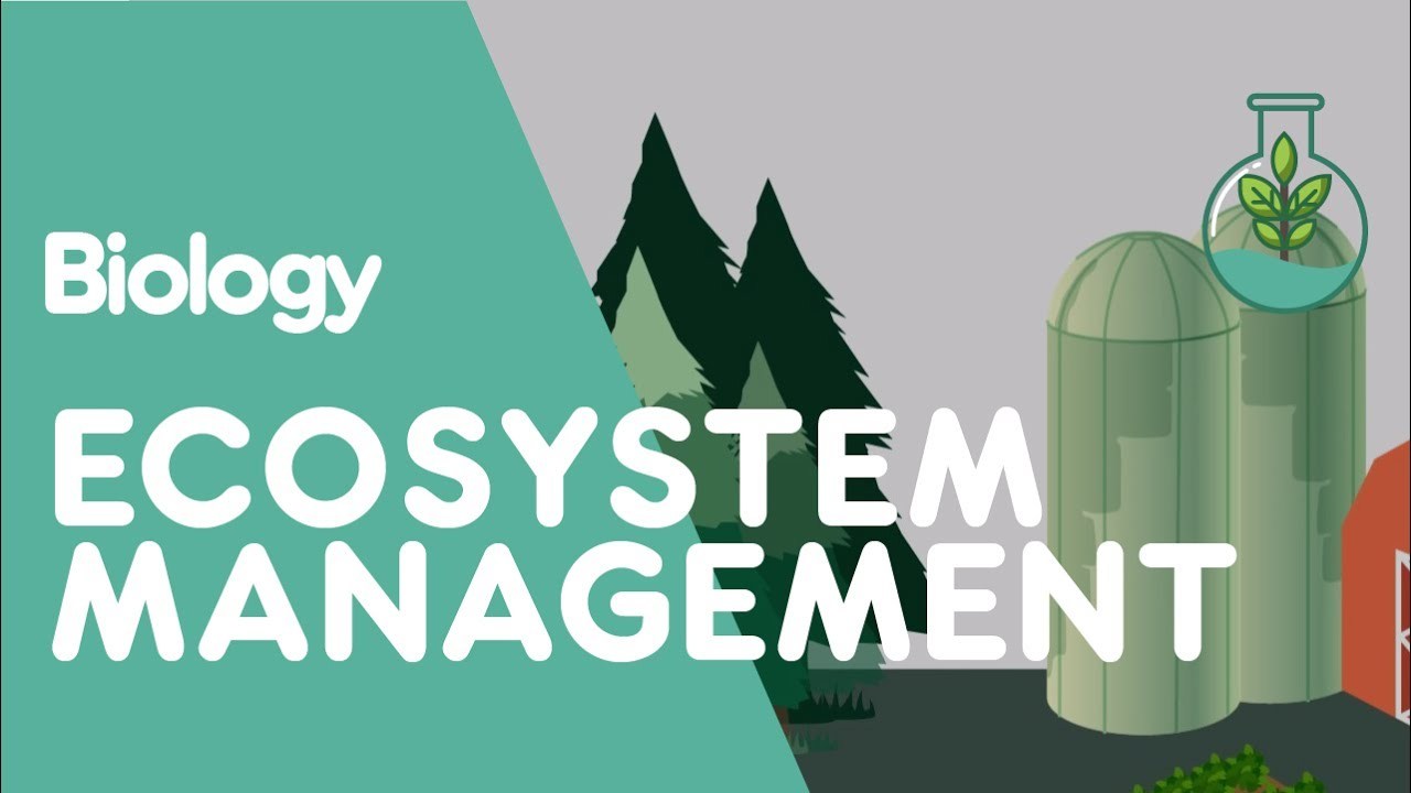 Ecosystem management