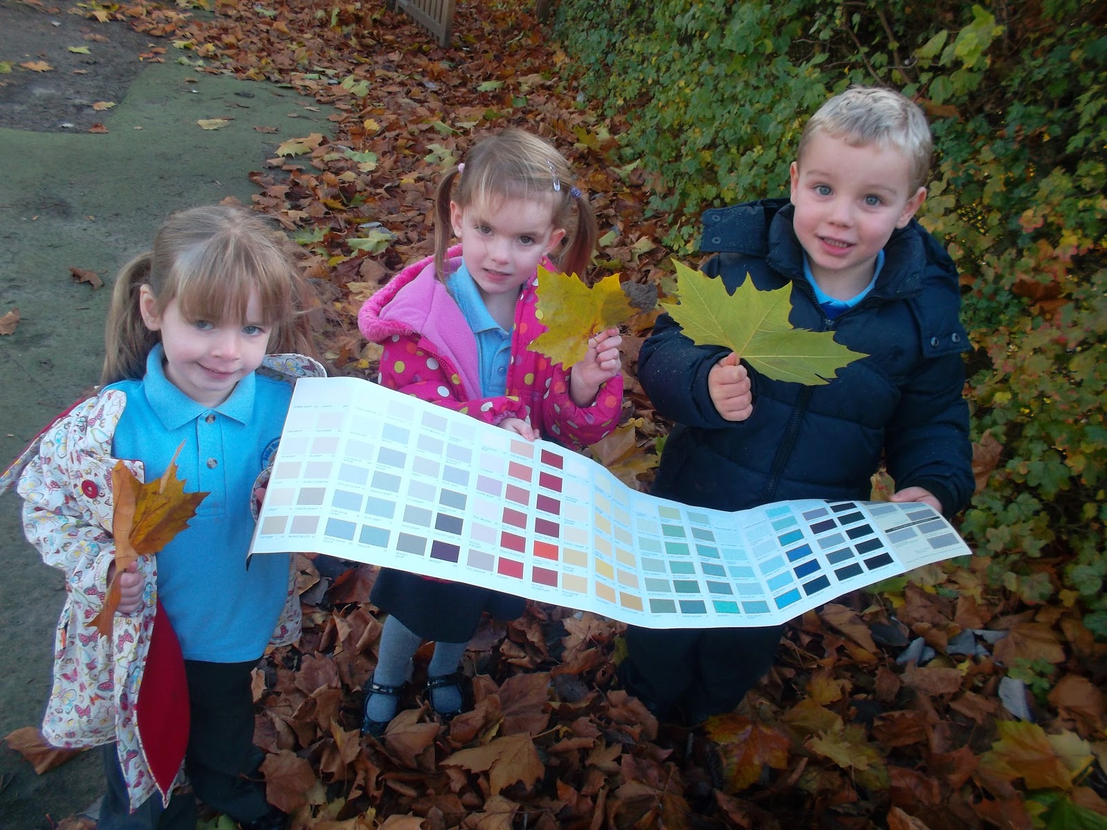 Alderwood Infant School: Colours of the World