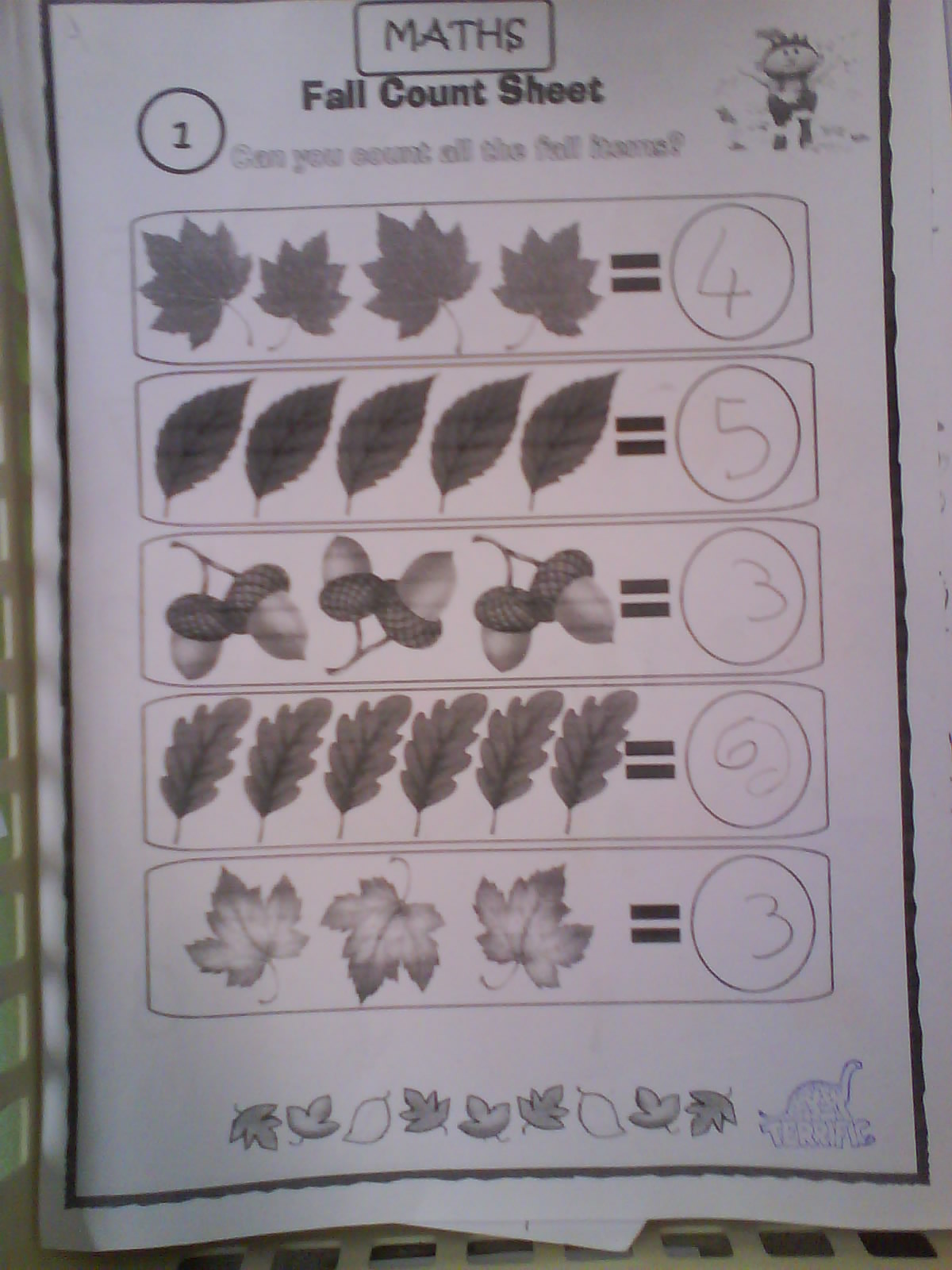 THE TEACHING EXPRESS: FALLING INTO FALL MATHS