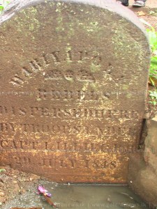 NAKARAJAN: MATALE REBELLION 1848- VEERAPURAN APPU BORN NOVEMBER 7,1812