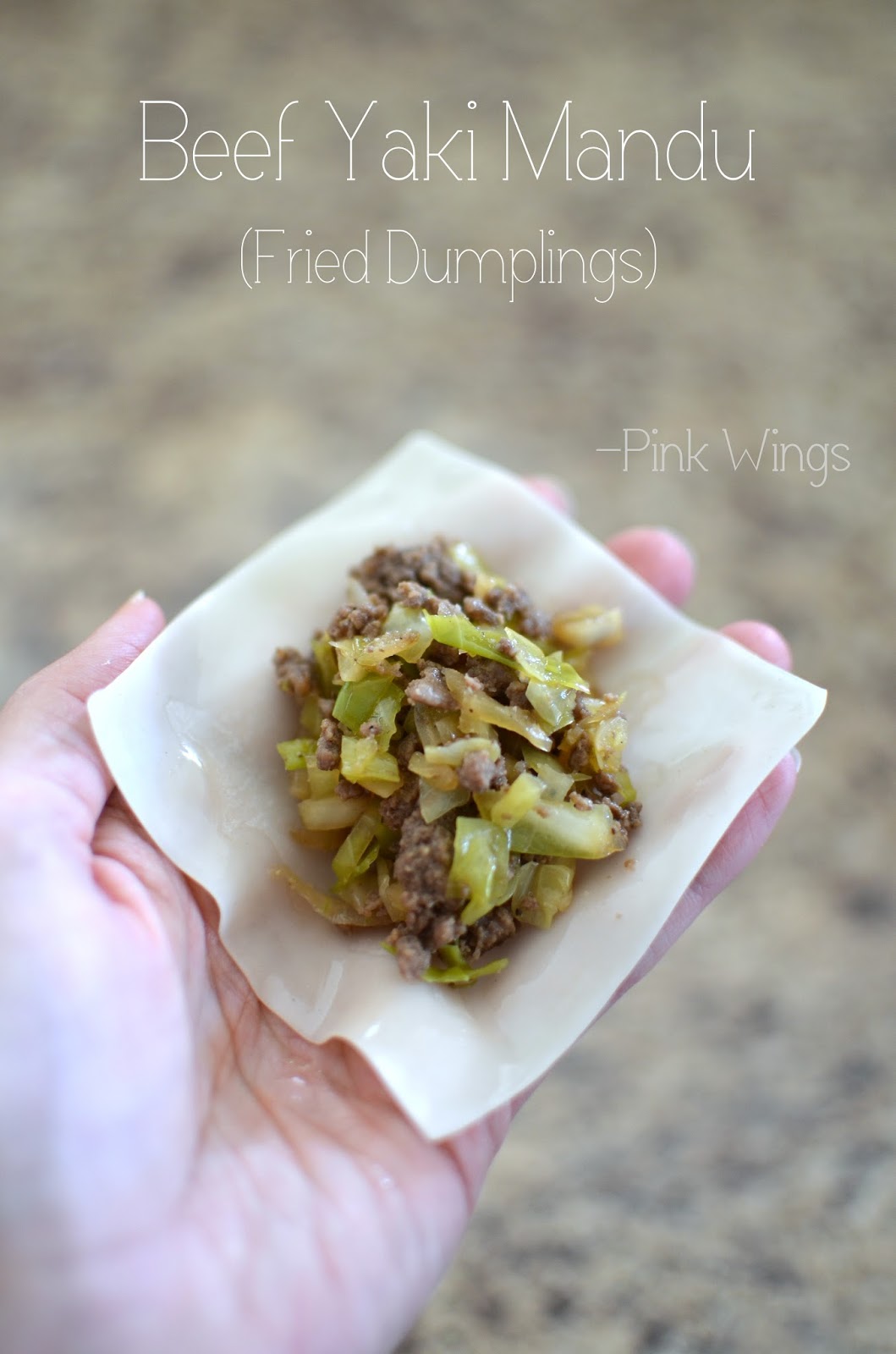 Beef Yaki Mandu (Fried Dumplings)