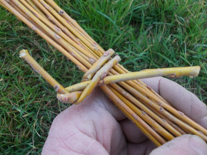 Blogredire: Salice da stroppe