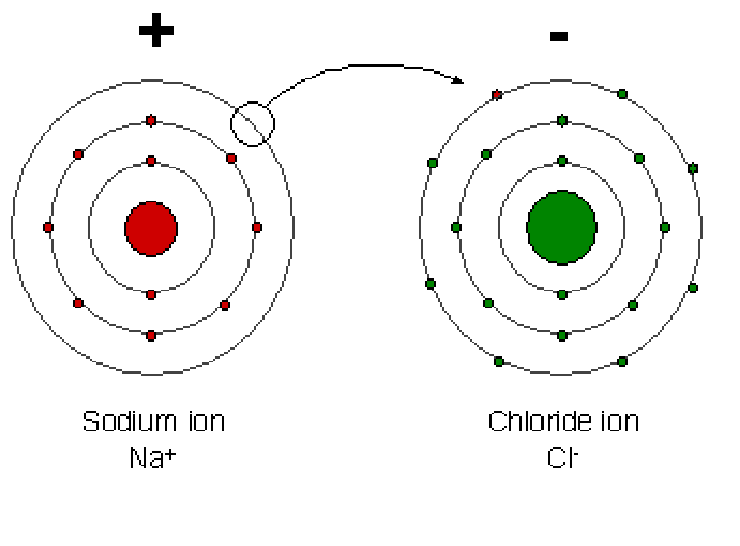 South Pontotoc Biology: Basic Chemistry Study Guide