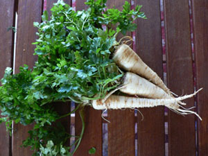 Mangeons d'autres légumes: Le persil racine