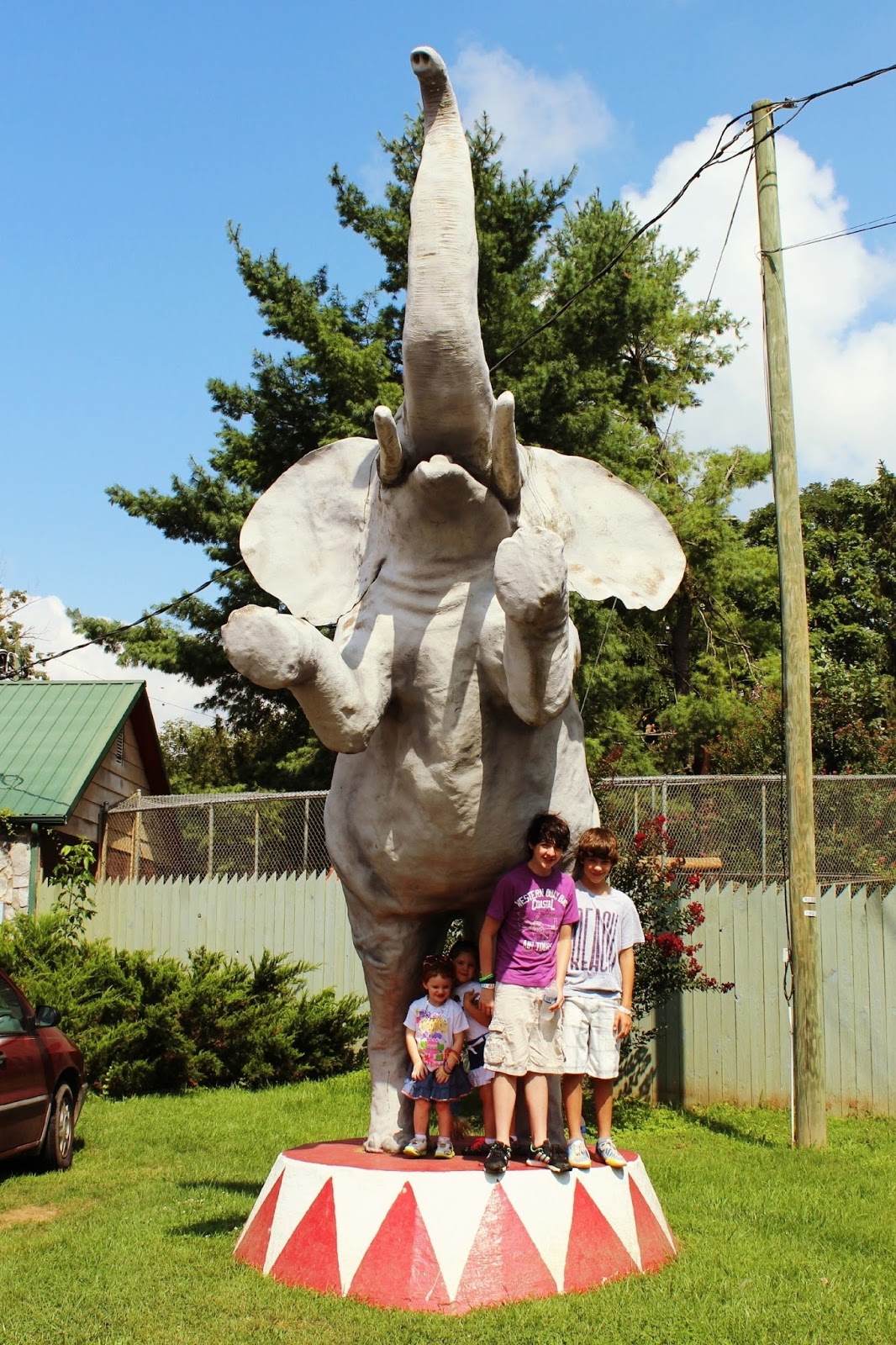 Smooth Stones: Meeting Mark Cline