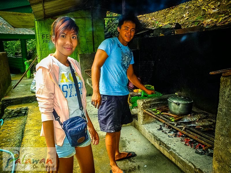 The beautiful Estrella Falls - Narra, Palawan - Traveling by default.