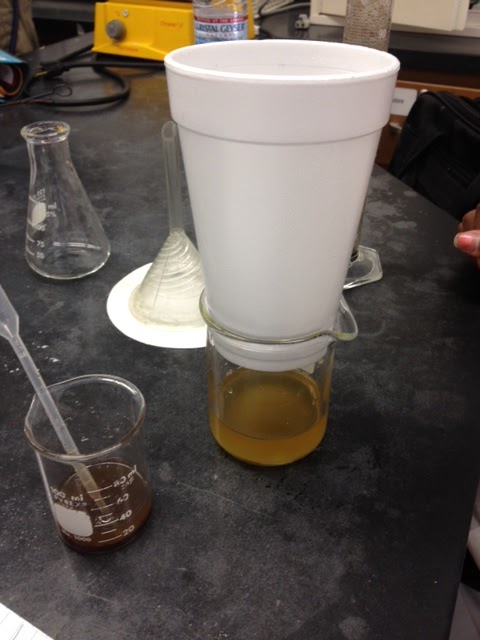 Chemistry: Foul Water Lab Report
