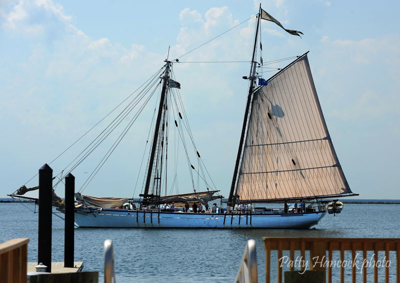 Georgia Artists: Tall ship Harvey Gamage in Cape Charles, VA
