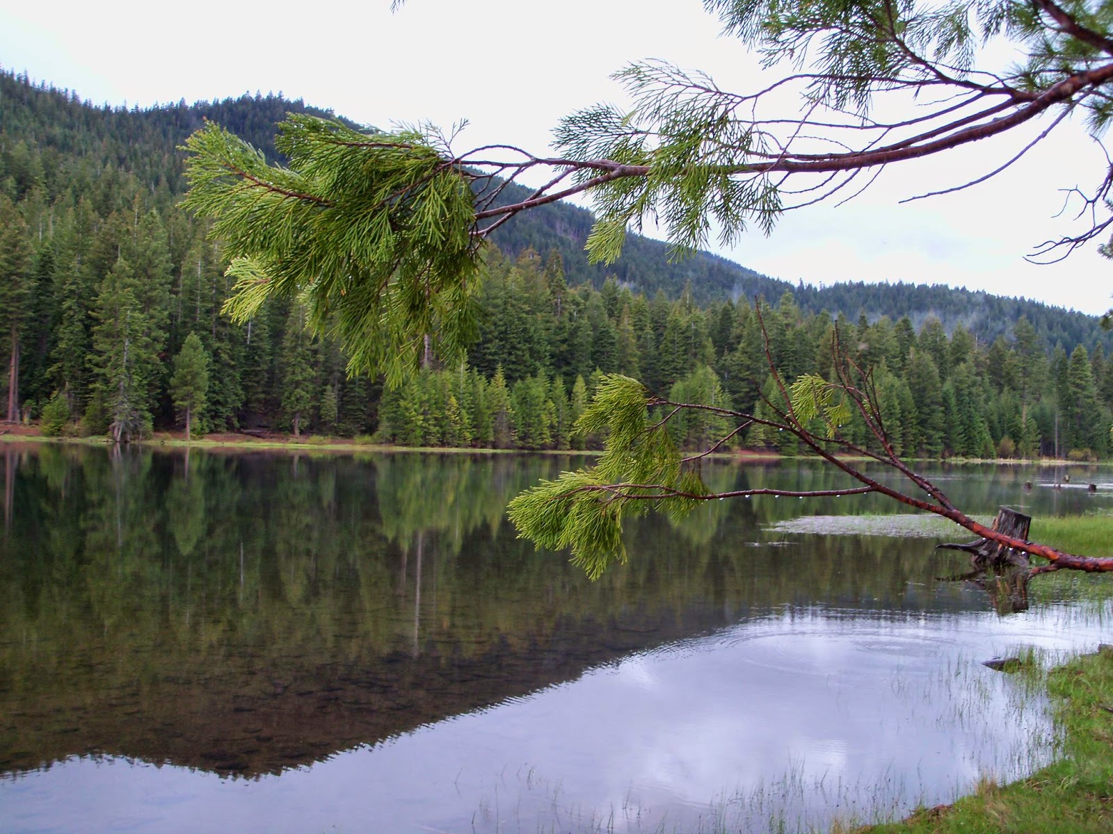 Siskiyou County Camping: Juanita Lake Campground