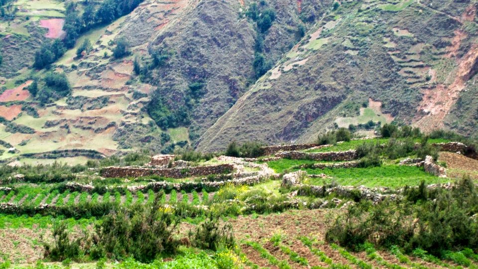 DISTRITO DE PUNCHAO HUAMALIES : octubre 2013