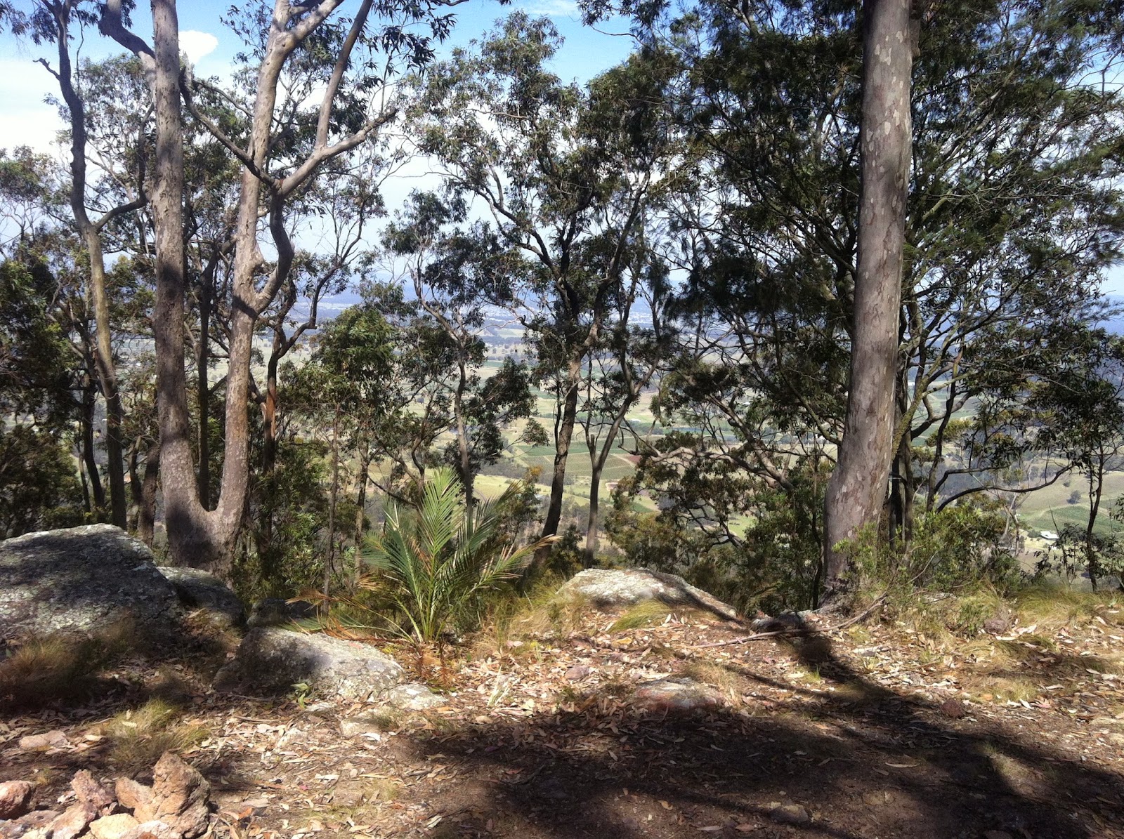 Walking The Parks: Pokolbin Sate Forest Camp