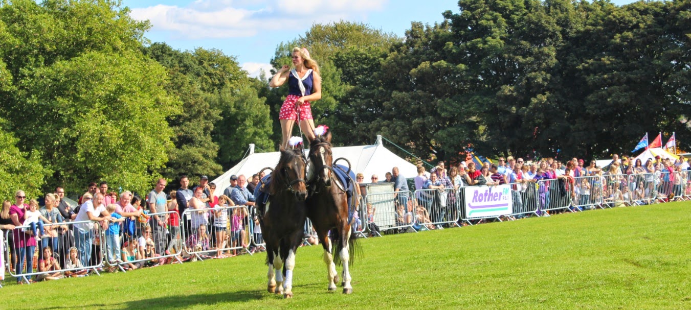 Galloping Acrobatics