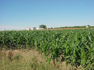 HyMark High Spots: Herman Warsaw