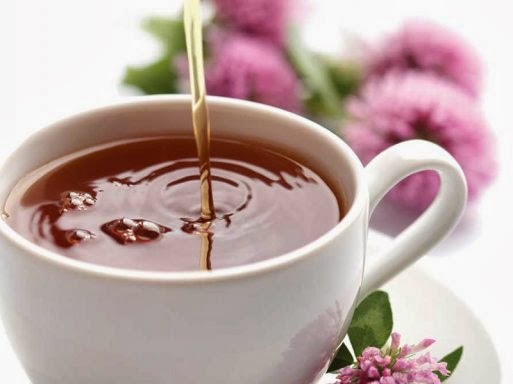Hrast Zdravlje Čaj Od Hrastove Kore Čaj Od Hrastovog Lišća Kafa Od žira Hrasta ~ Prirodni