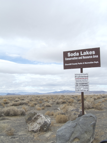 Fallon, Nevada Things to do: Soda lakes, Fallon Nevada