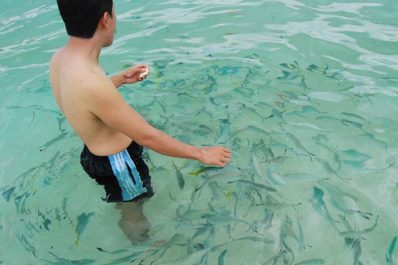 PALAWAN HOTELS, RESORTS, AND ATTRACTIONS: ISLAND HOPPING IN HONDA BAY ...