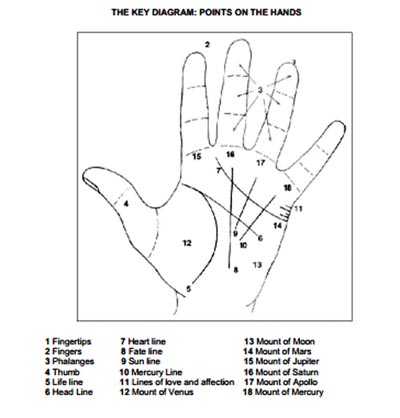 The Key Diagram: Points On The Hands ~ INDIAN PALMISTRY | PALM READING ...