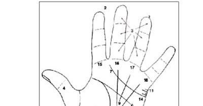The Key Diagram: Points On The Hands ~ INDIAN PALMISTRY | PALM READING ...