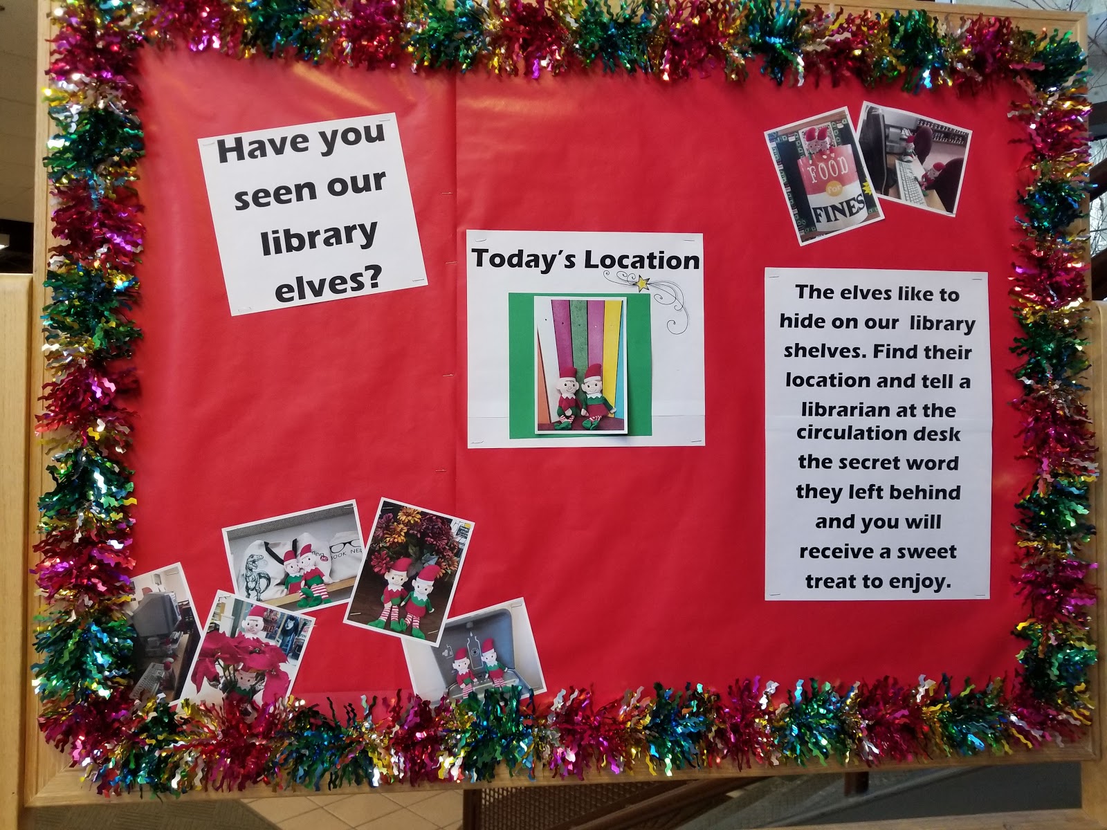 Display Lit: Library Elves