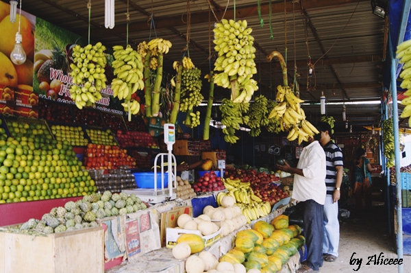 Prin cartierul minunat acasa in Bangalore - Episodul 2 - Enciclopedia ...