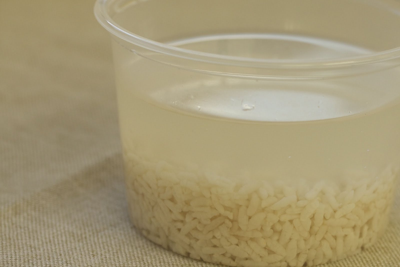 busychopsticks: 식혜 ([shikhae], Korean malted punch)