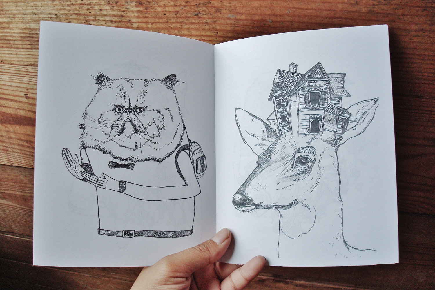 Catsparella: The Exciting World of Cat Zines