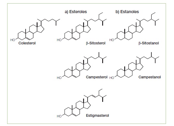 The importance of being an aliment: Los esteroles vegetales como ...
