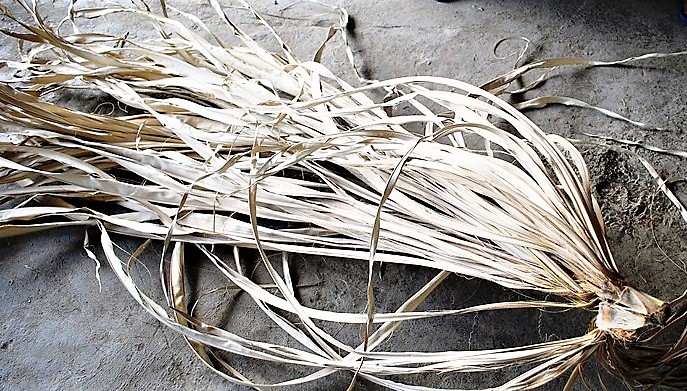 mybeautifulILOILO: Empowering Bitas Through Burihan Festival