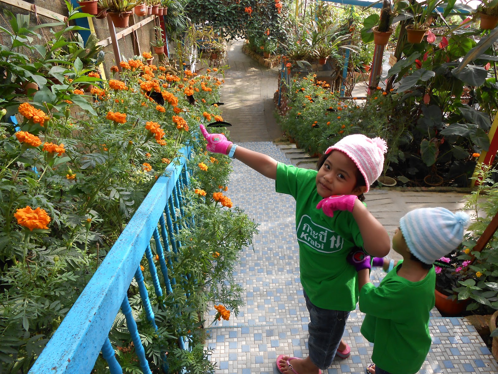 KISAH KAMI: Cameron Highland, Kami Datang Lagi!