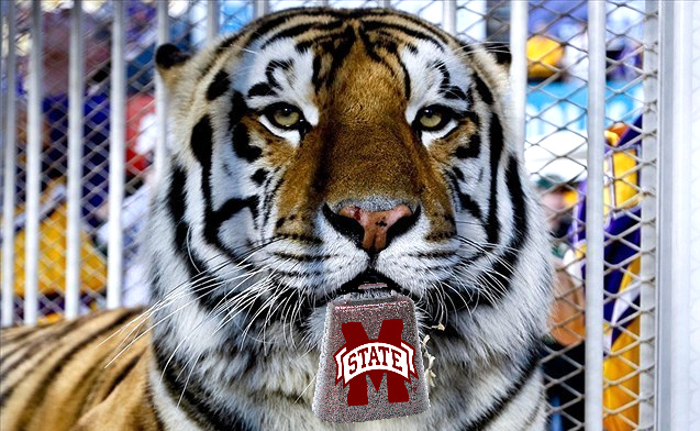 Diogenes' Middle Finger: Bulldogs vs Tigers