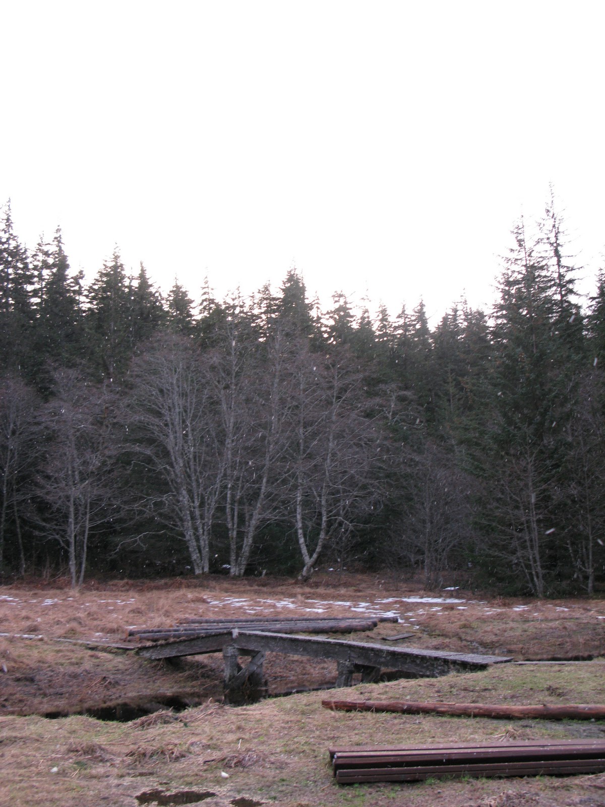 Juneau Hikes Quest : Previous Hikes
