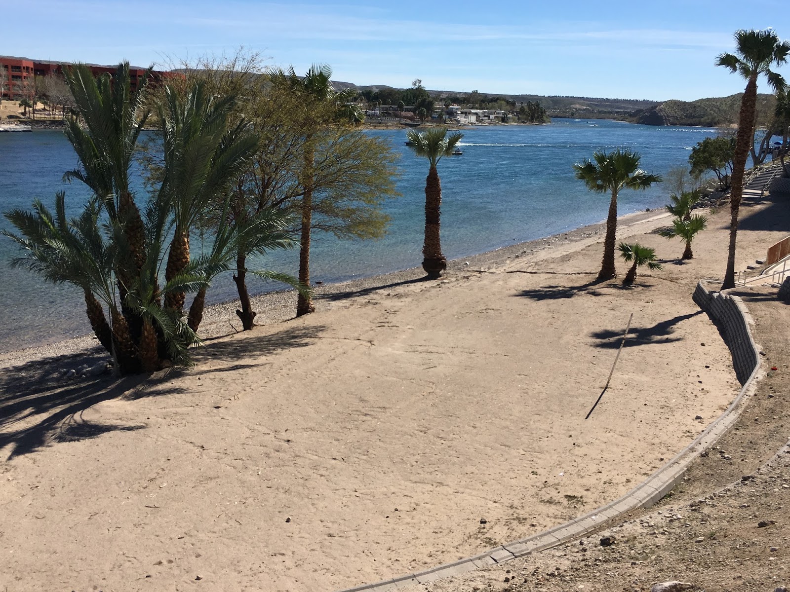 Laughlin Buzz: Monkey Statues, a Beach & an Empty Lot