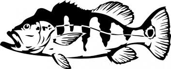 Bio Fishing: Abril 2016