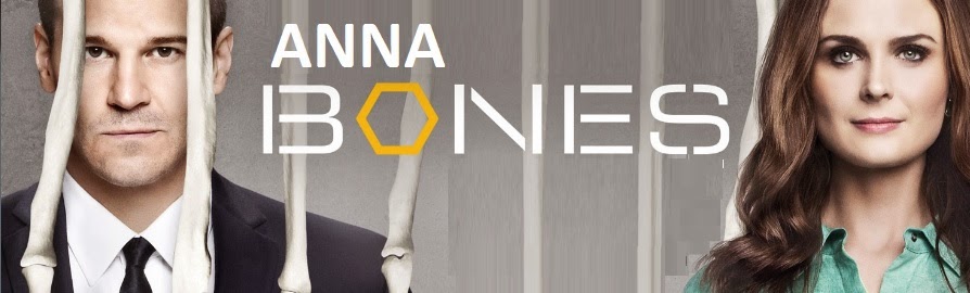 Anna Bones: Brennan e Booth: A evolução do relacionamento