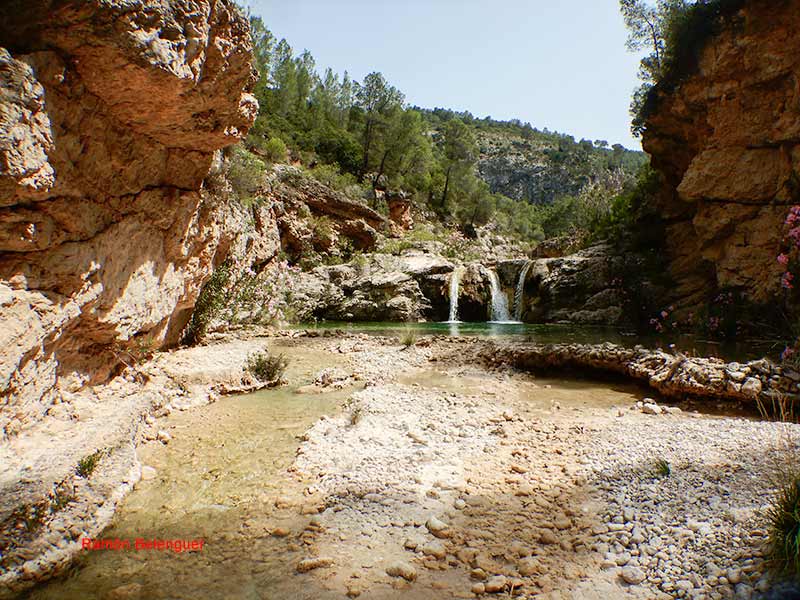 BICHOS Y MAS VLC: DE PASEO POR El RÍO FRAILE MENOS CONOCIDO