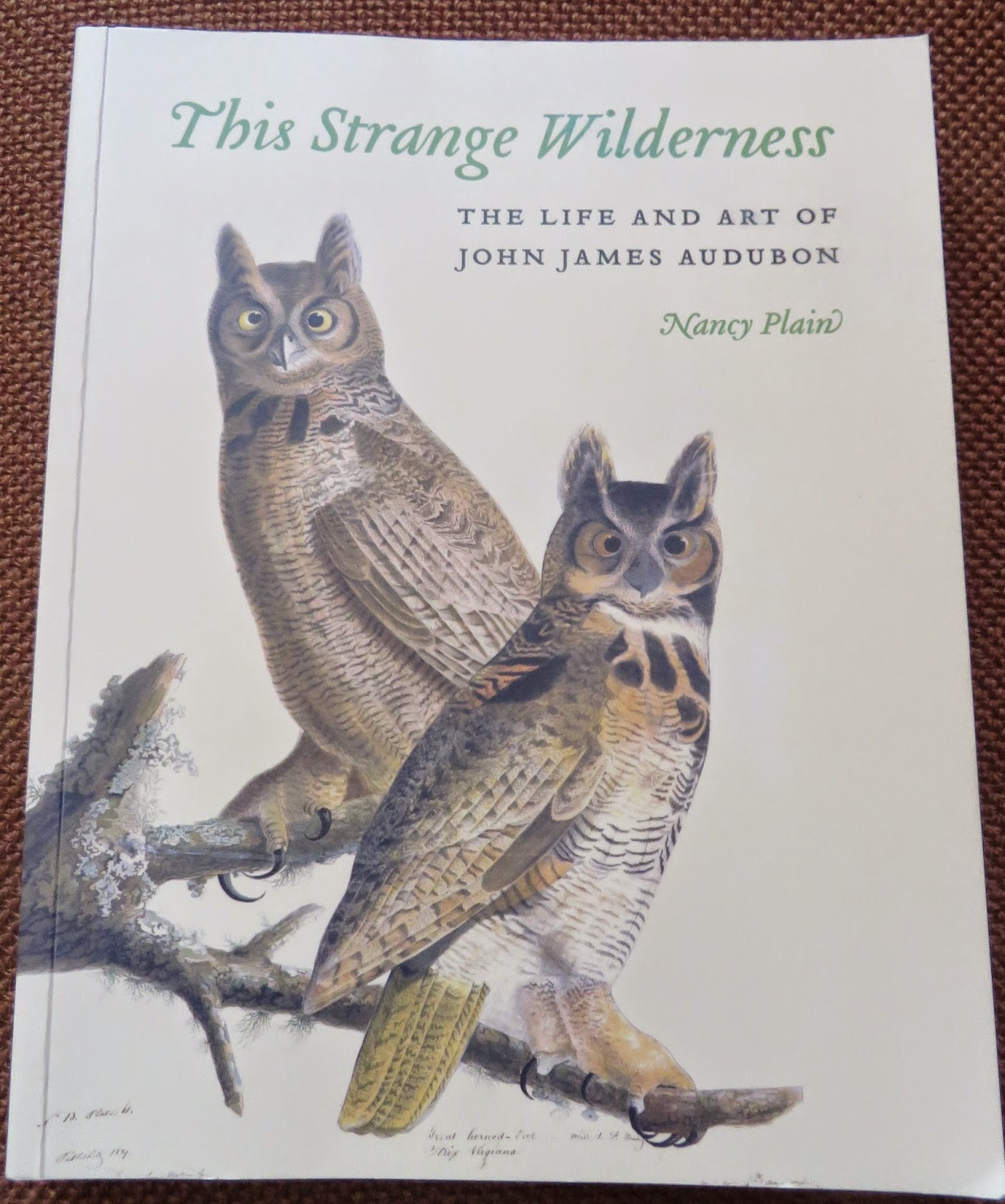 Ever Ready: This Strange Wilderness by Nancy Plain