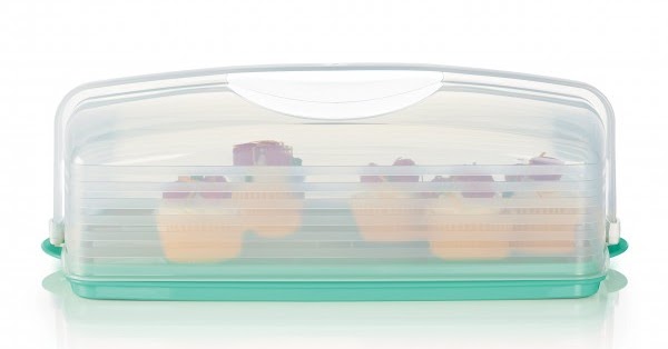 Review of Tupperware Rectangular Cake Taker